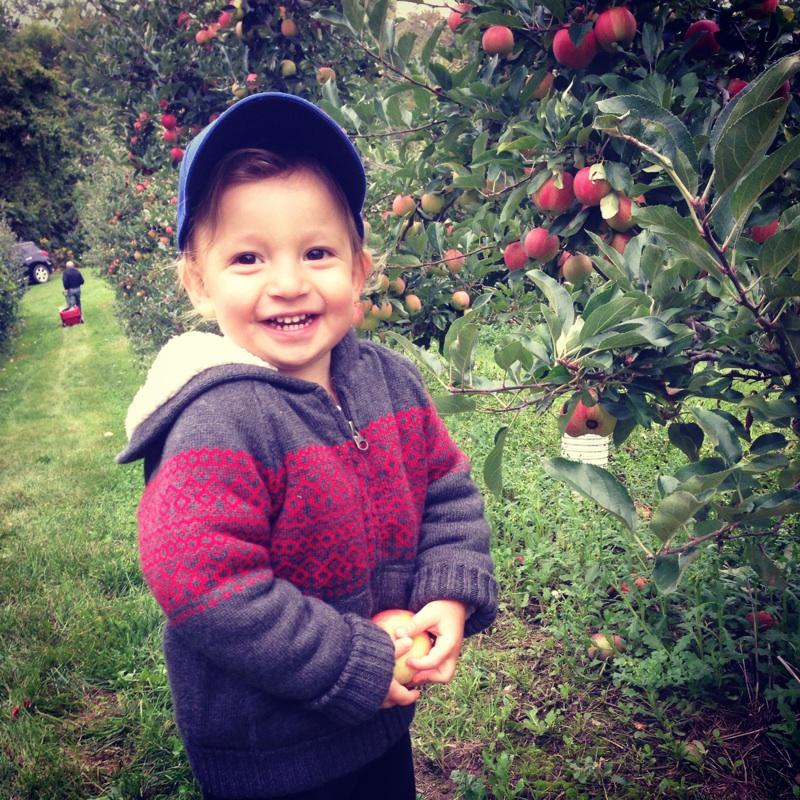 APPLE PICKING FALL FUN GUIDE - Pink and Blue Magazine